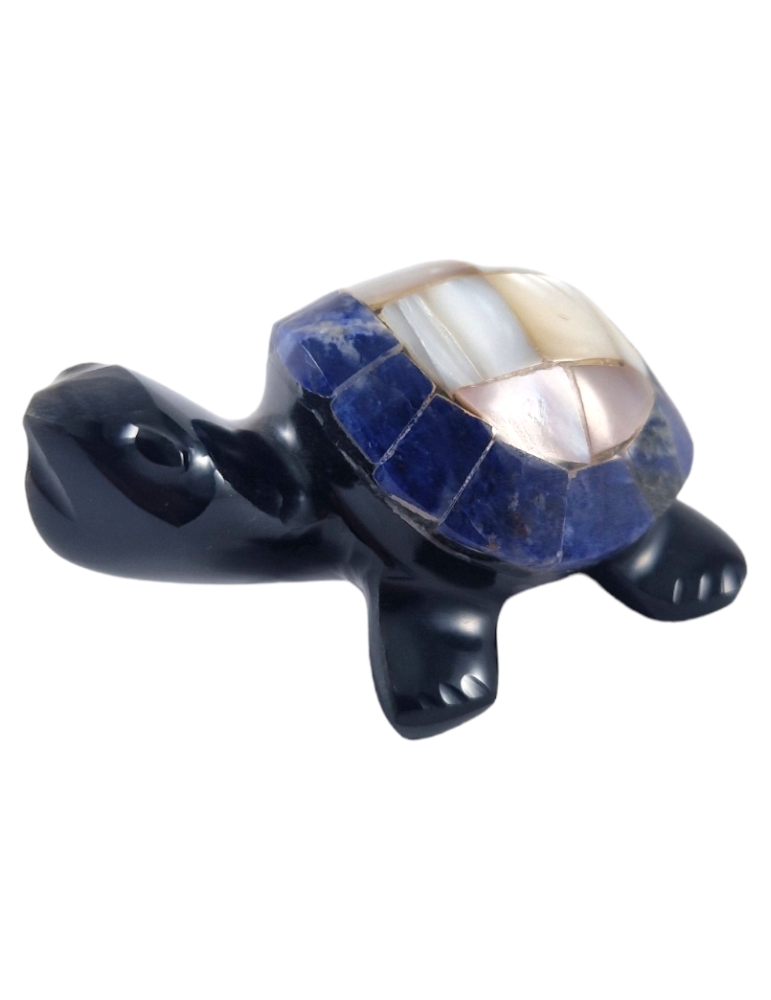 Obsidian Tortue and Mother of Pearl