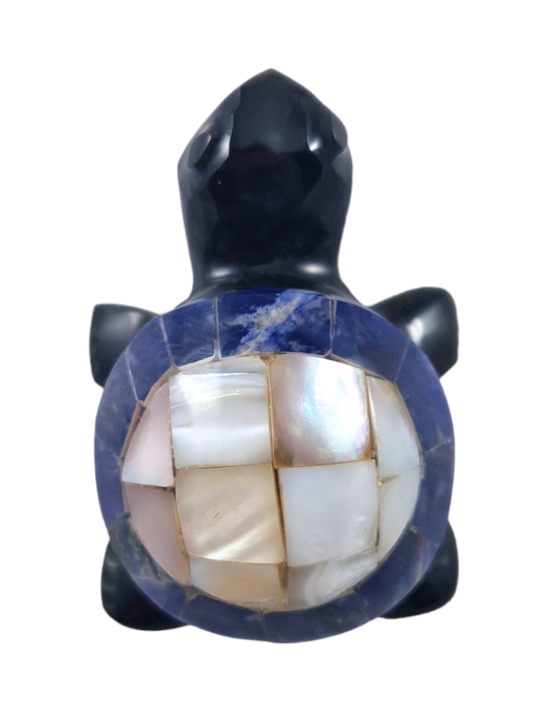 Obsidian Tortue and Mother of Pearl